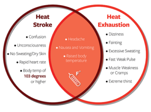 Surviving the Summer: Extreme Heat Safety in Texas - Texas Hospital ...